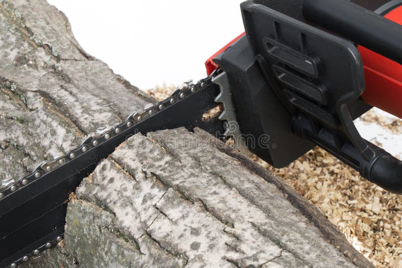 Professional Chainsaw Blade Cutting Log of Wood Stock Image - Image of ...