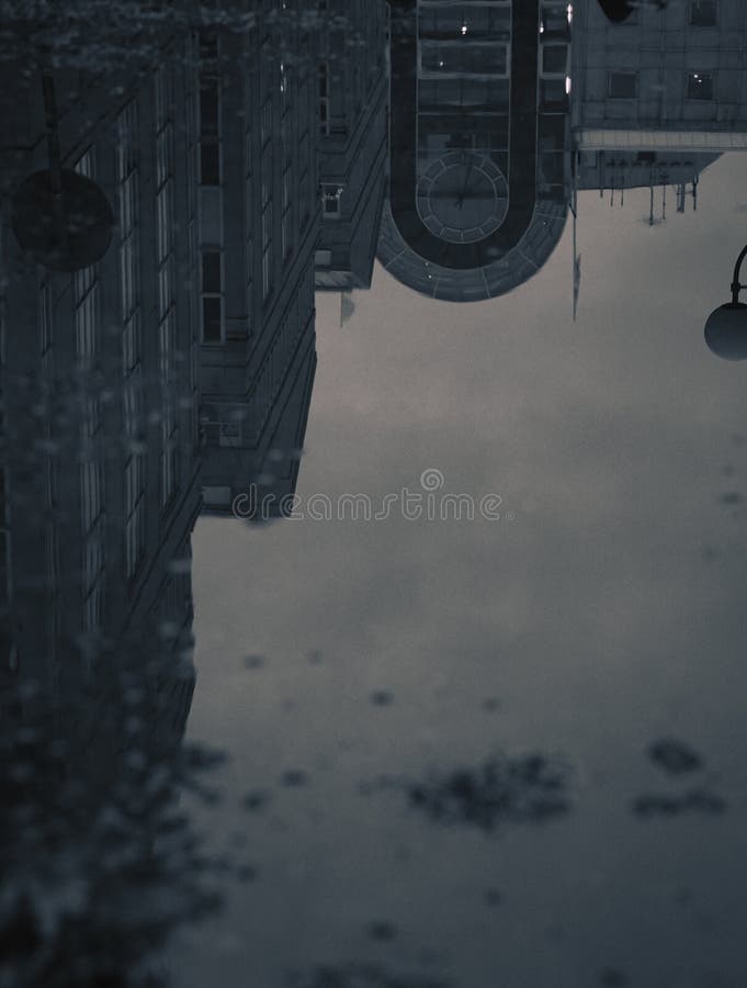 Close up of a puddle stock image. Image of landscape - 299076243