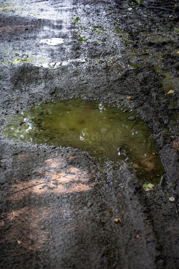 Close Up Puddle on the Muddy Road Stock Image - Image of reflection ...