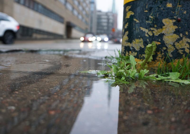 Close Up of a Puddle of Water Stock Image - Image of nature, outdoors ...