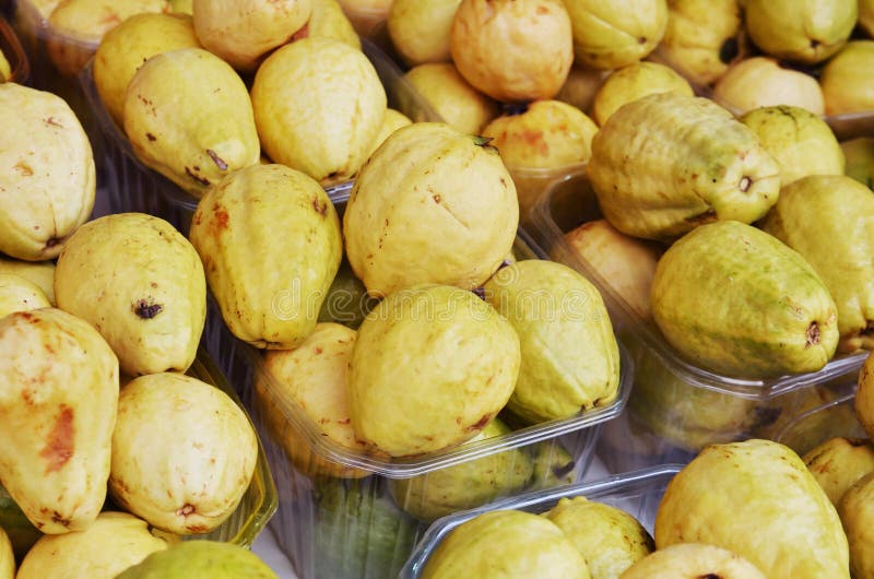 Close up of quince stock image. Image of fruit, cuisine - 21967911
