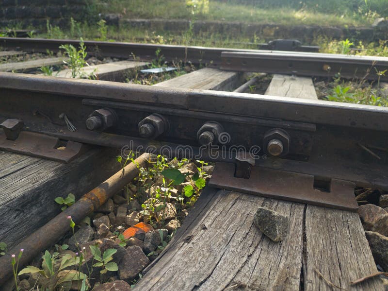 Close-up of Railroad Rail Joint or Connection with Grass Stock Image ...