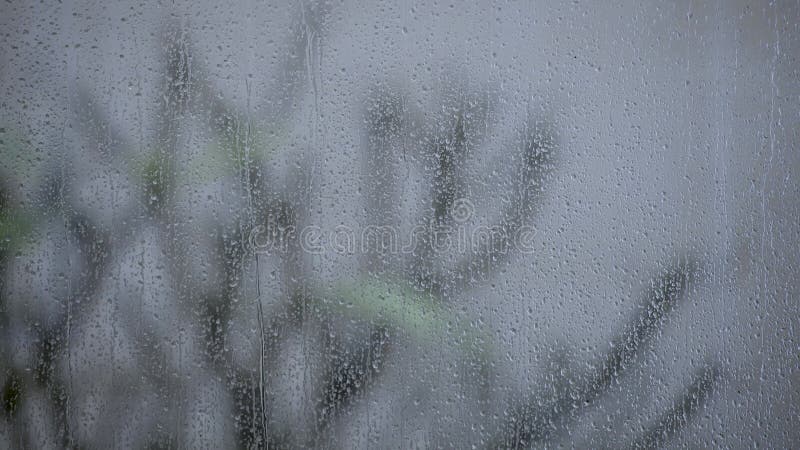 Close Up of Rain Drops Falling Onto the Glass Window Stock Video ...