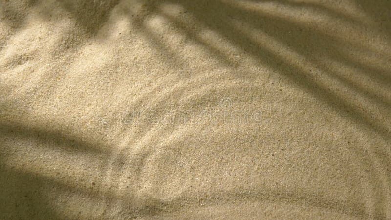 Close-up Rain Drops Falling and Splashing in Water, Leaf Shadow on Sand ...