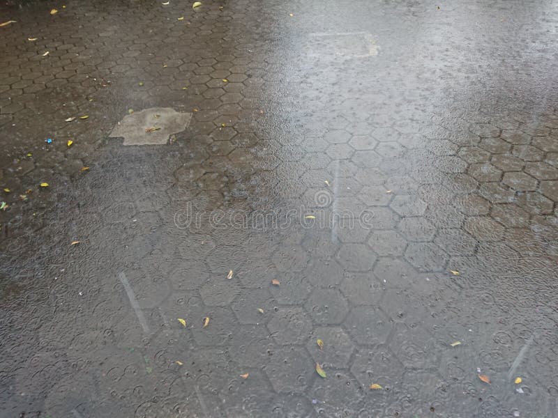 Close Up Rain Water Drop Paving Block at Day Stock Image - Image of ...
