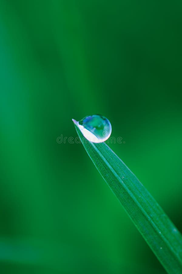 Close up of a raindrop stock photo. Image of abstract, detail - 761136