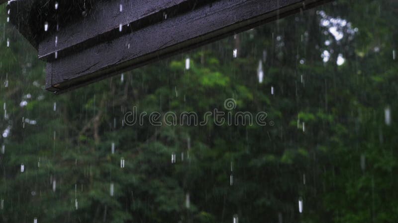 Close-up of Raindrops Falling from Stock Footage - Video of liquid ...