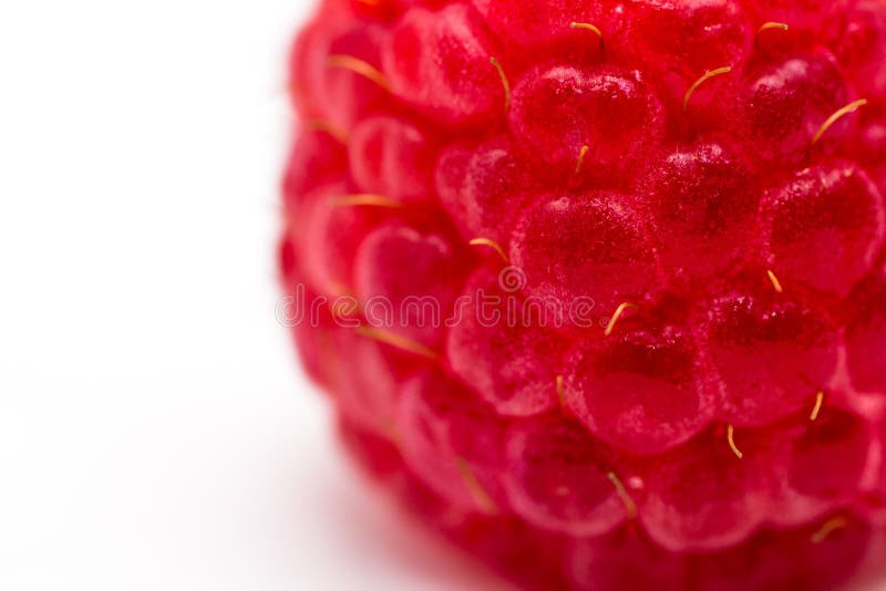 Close up raspberries stock photo. Image of fresh, isolated - 62895808
