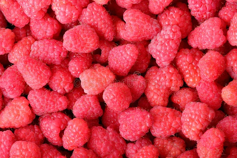 Close-up Raspberry Background Stock Image - Image of heap, nutrition ...