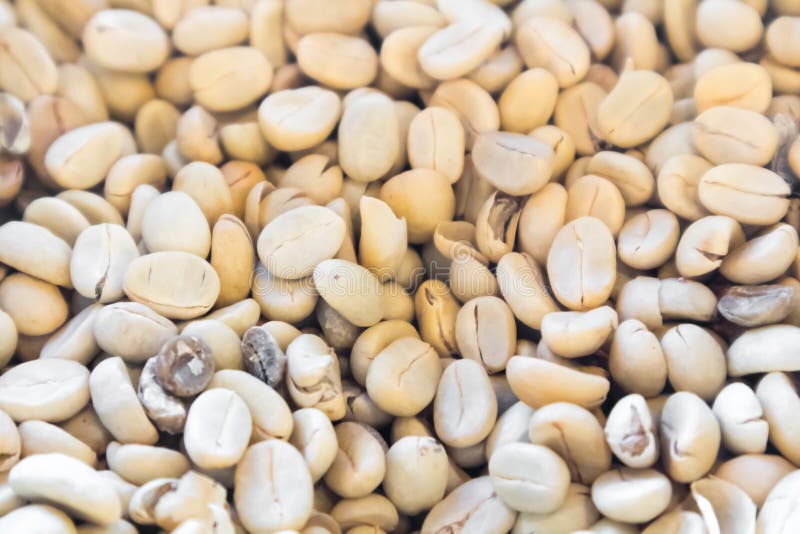 Close Up Raw Green Coffee Beans Unroasted Background and Texture Stock ...