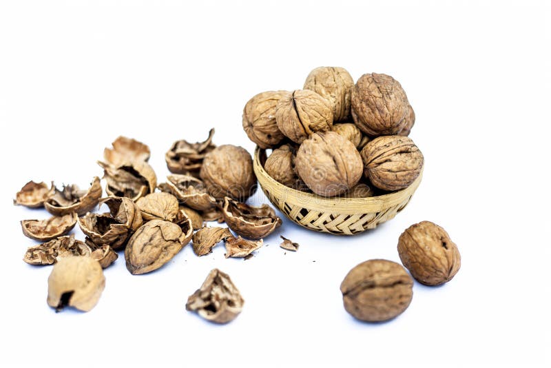 Close Up of Raw Organic Walnut or Juglans or Akhrot or Akharot Isolated ...