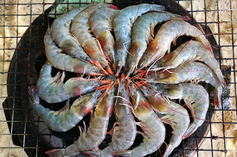 Raw prawn stock photo. Image of gourmet, nature, grill - 135761502