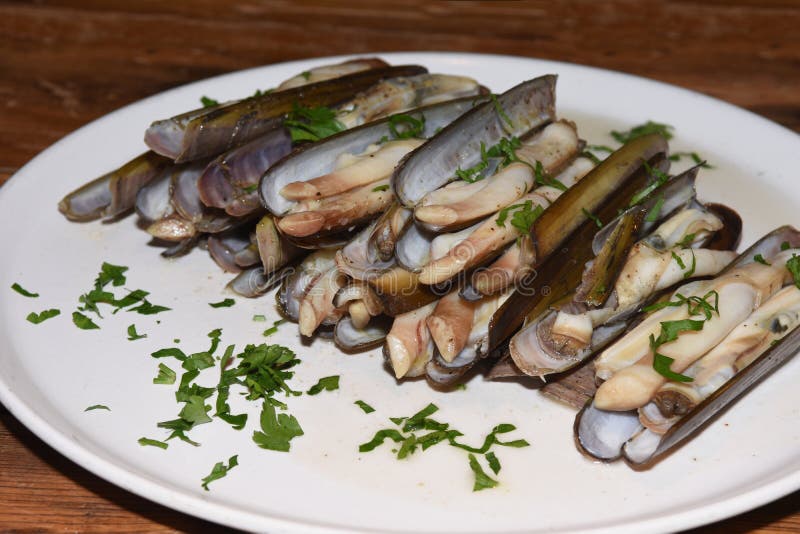 Close up of Razor shell stock image. Image of razor, texture - 85369677