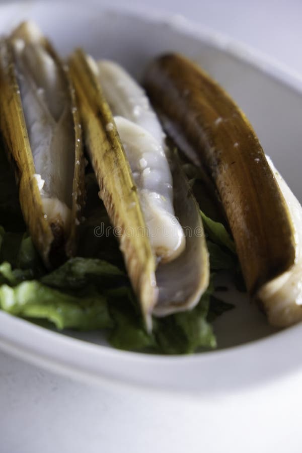 Close-up of Razor-shell on a Plate Stock Photo - Image of eating, paste ...