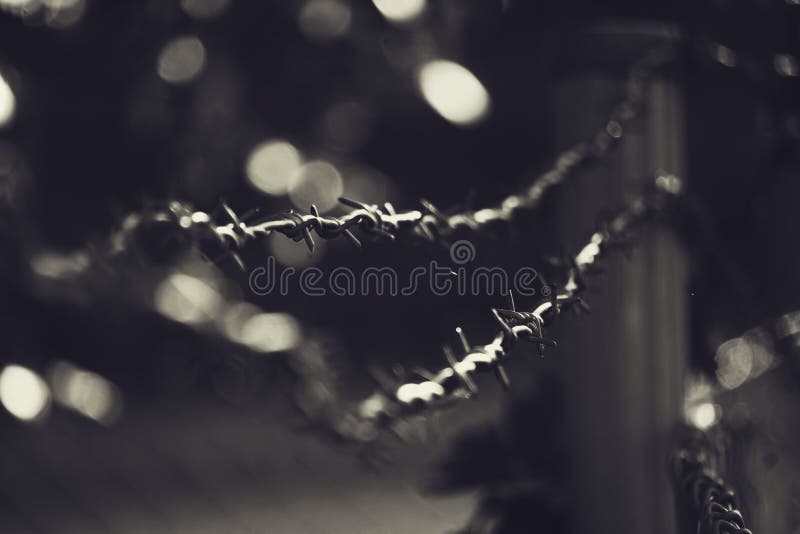 Close-up of Razor Wire in Black and White Stock Image - Image of ...