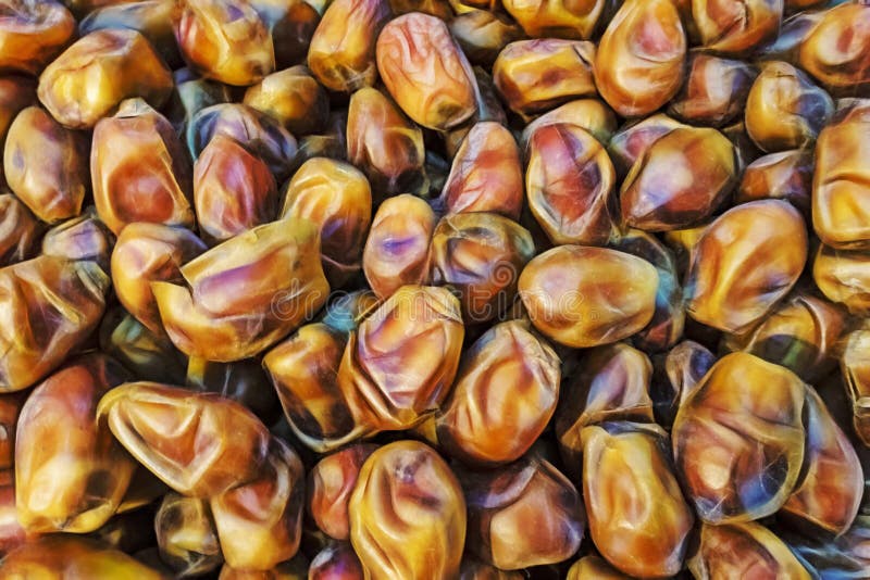 Close Up Arabic Dates in Bulk Stock Photo - Image of fresh, healthy ...