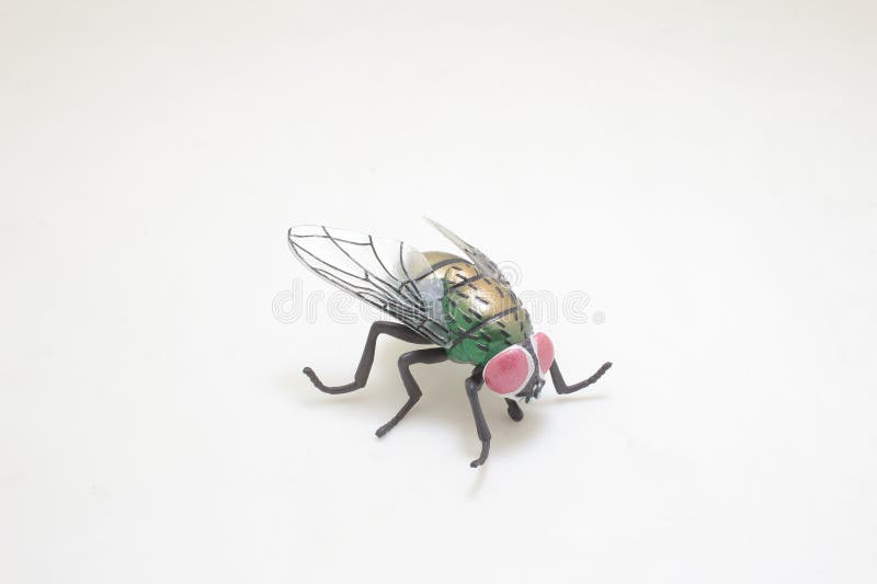 Housefly Model Stock Photos - Free & Royalty-Free Stock Photos from ...