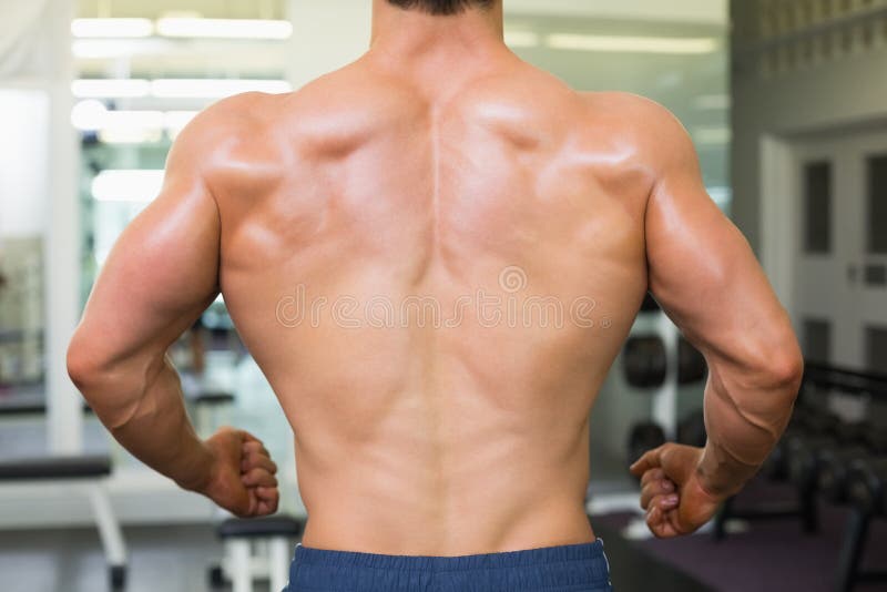 Close-up Rear View of a Bodybuilder in Gym Stock Photo - Image of male ...