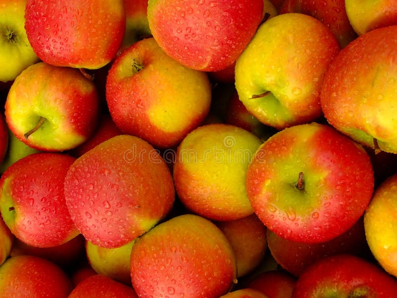 Close up of red apples stock photo. Image of fruit, food - 30805888