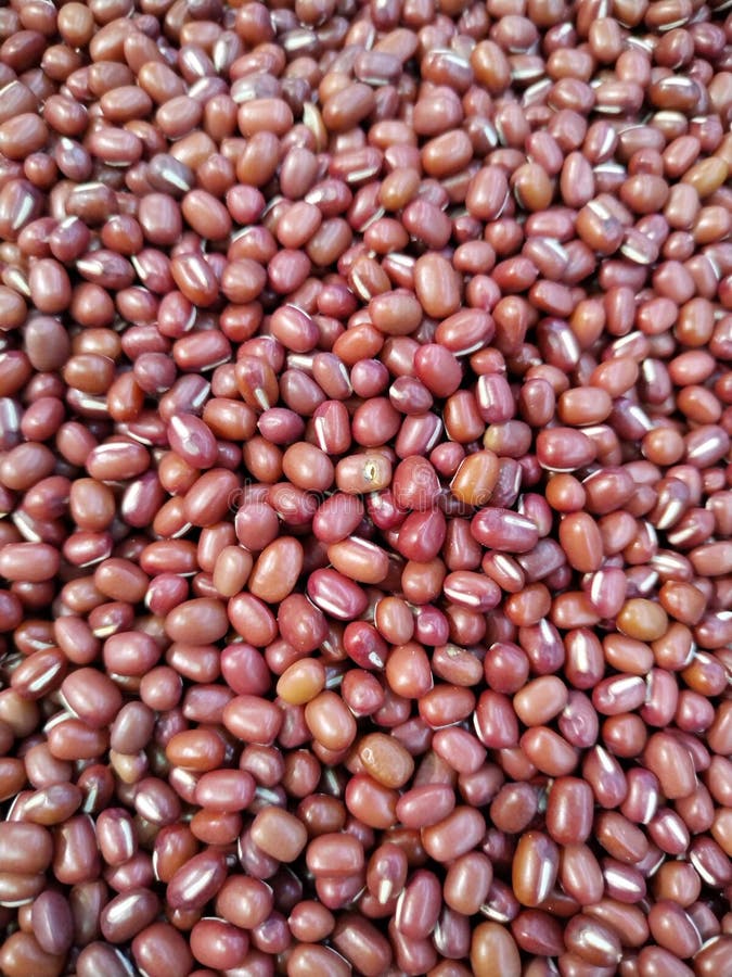 Close-up of Red Bean stock photo. Image of items, products - 277084786