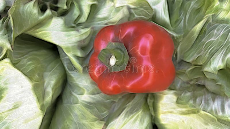 Red Bell Pepper at the Market Stand Stock Photo - Image of naturale ...