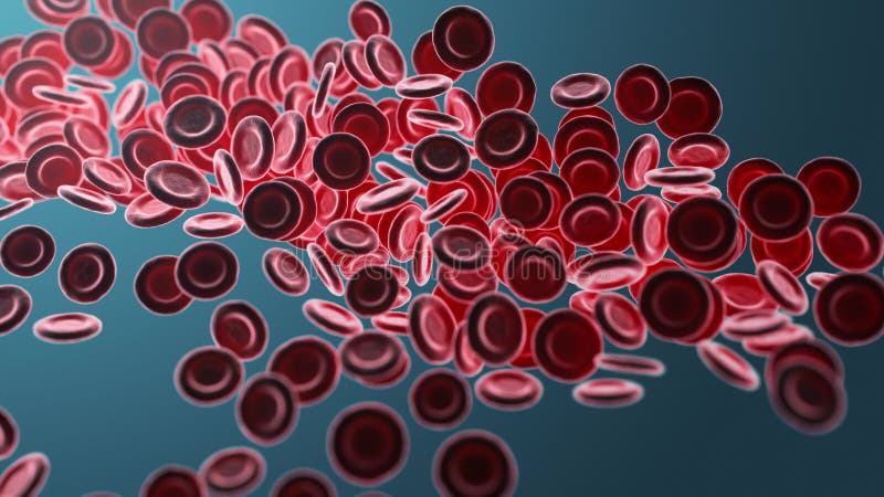 Close-up of Red Blood Cells on a Blue Background. Stock Footage - Video ...