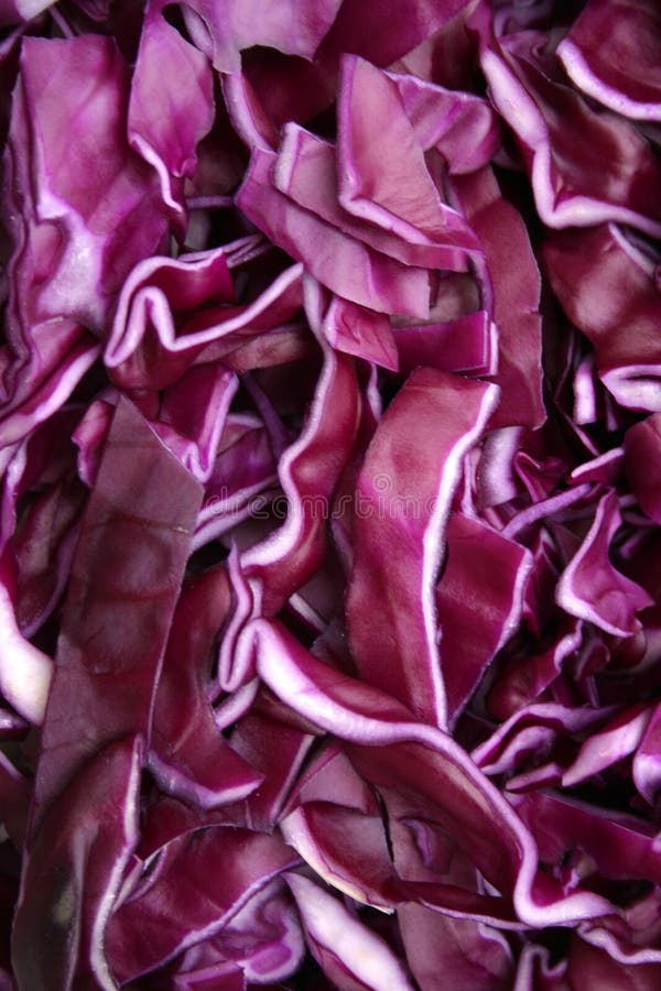 Close up of red cabbage stock image. Image of tasty, food - 13046715