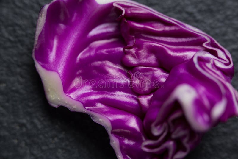 Close-up of red cabbage stock photo. Image of healthy - 99470116