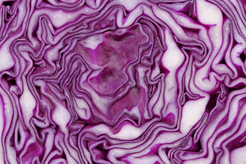 Close-up of Red Cabbage Texture Stock Image - Image of pattern, fresh ...