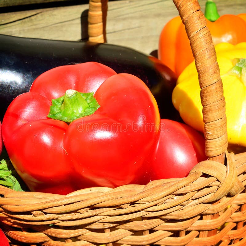 Capcicum in basket stock photo. Image of recipe, food - 75319488