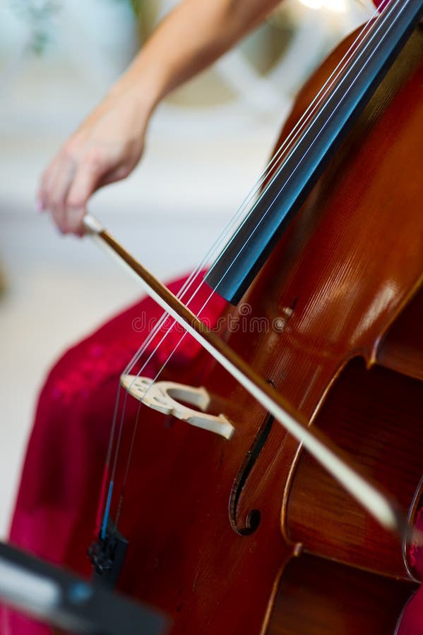 Close-up of Red Cello Strings Touched by a Bow Stock Image - Image of ...