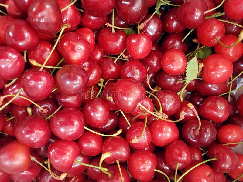 Close-up of Red Cherries at Bazaar Stock Image - Image of fruit, shrub ...