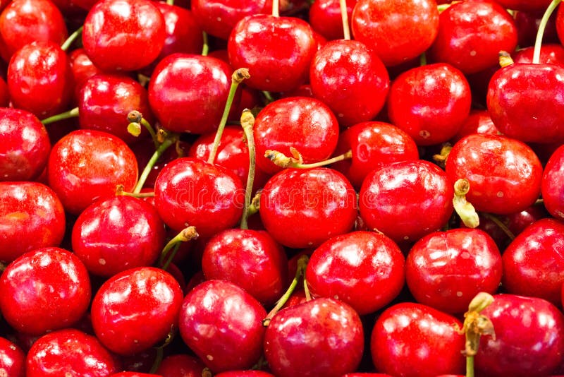 Close up of Red Cherries stock image. Image of stem, stalks - 51132871