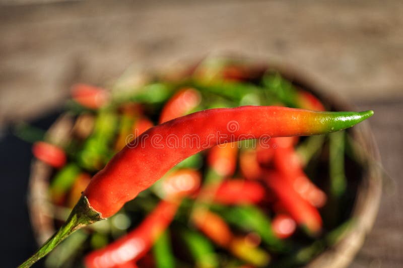 Red chill pepper stock image. Image of bright, organic - 138788247