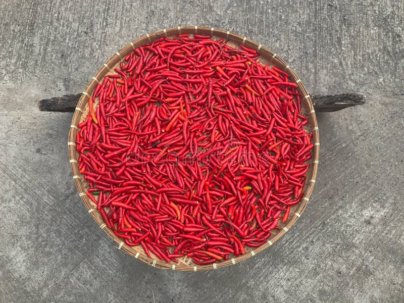 Red chilli on bamboo tray stock image. Image of cuisine - 132088251