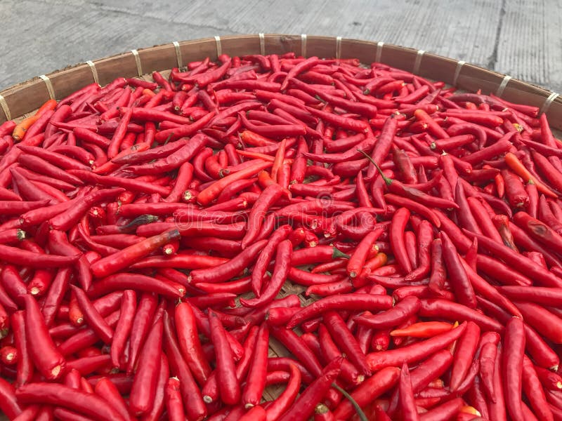 Red chilli on bamboo tray stock photo. Image of cuisine - 132088320