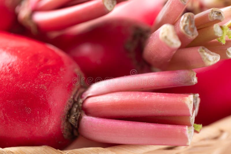 Close Up of Red Daikon Radish Texture Stock Image - Image of life ...