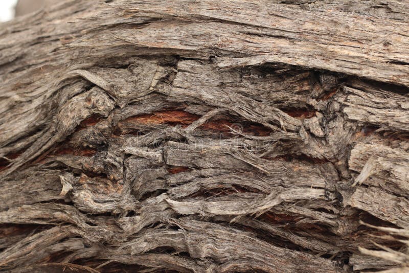 Close Up of the Red and Dark Colors and Textures of Native Australian ...