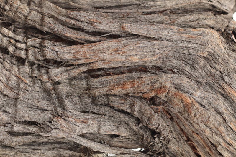 Close Up of the Red and Dark Colors and Textures of Native Australian ...