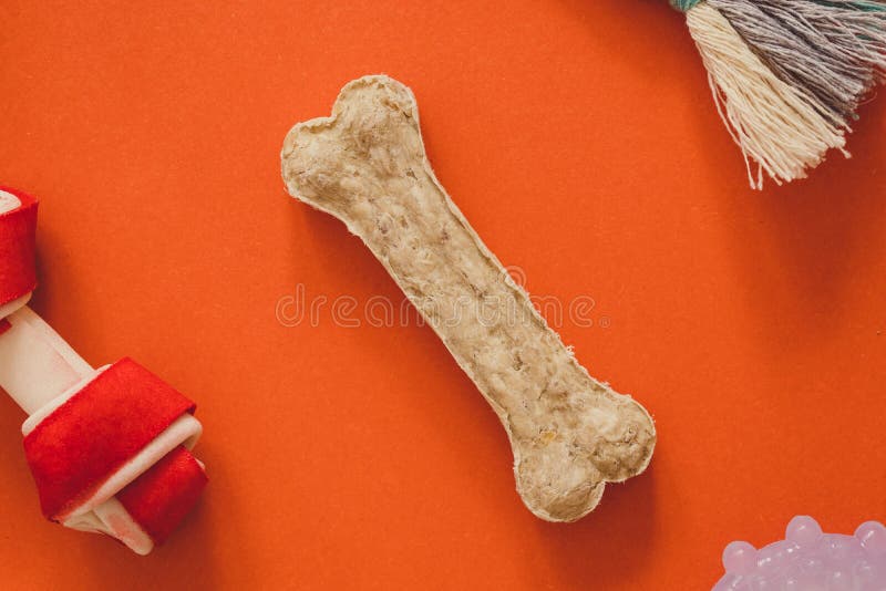 Close Up of a Red Dog Bone on Orange Background. Dog Accessories Stock ...