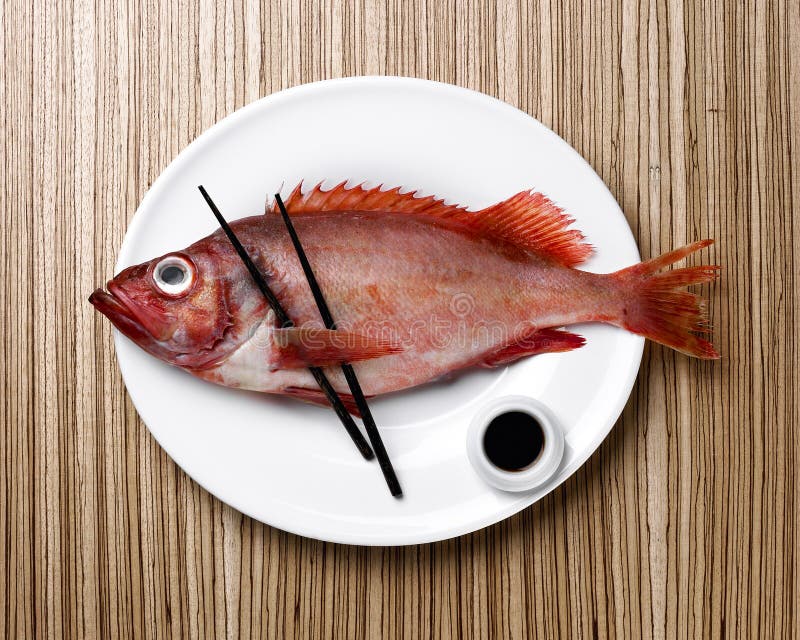 Close-up of Red Fish on Plate Stock Photo - Image of dish, living: 3197756