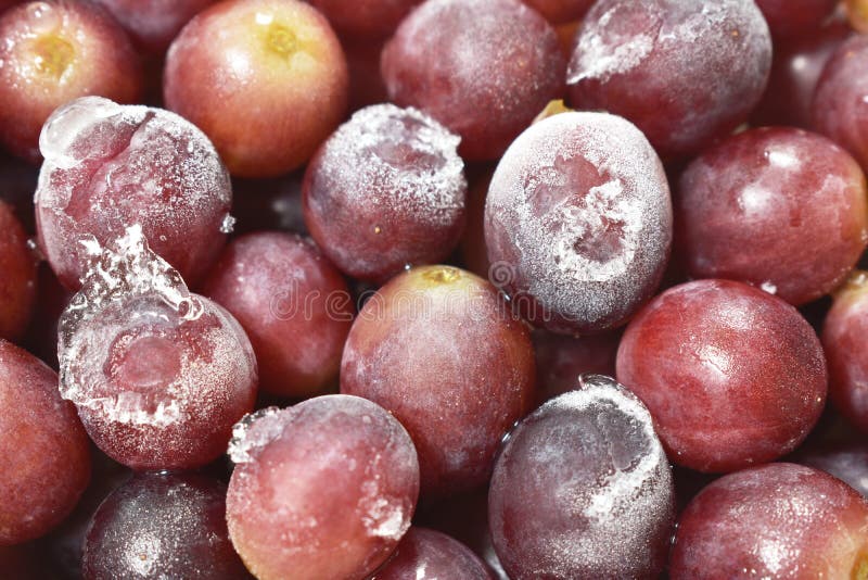 Red Grape Frozen Arranging on White Background Stock Image - Image of ...