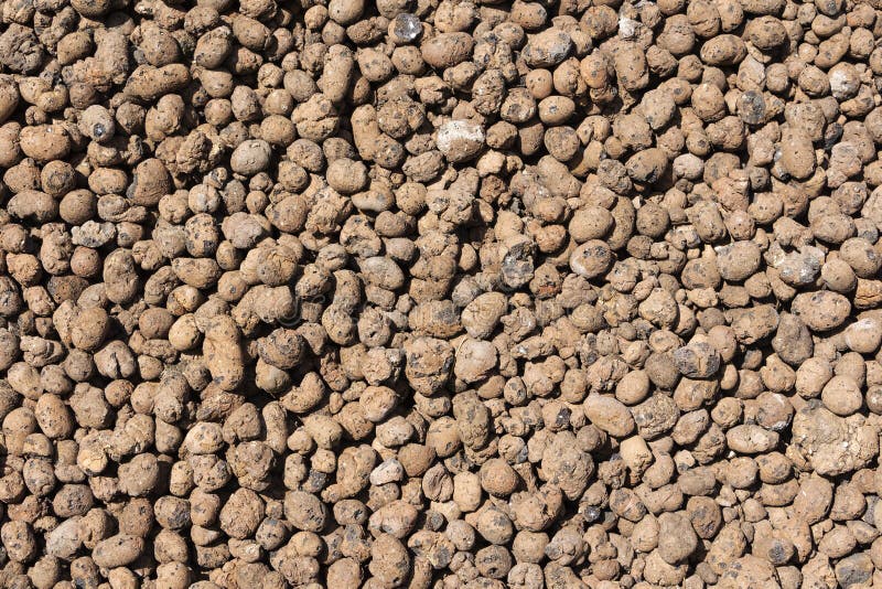 219 Haydite Stock Photos - Free & Royalty-Free Stock Photos from Dreamstime