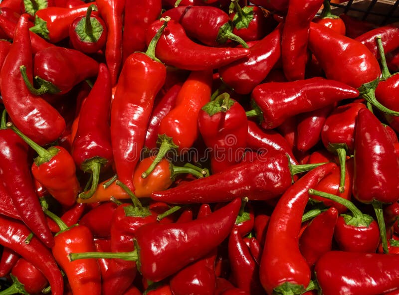 Close-up of Red Hot Peppers in a Vegetable Box in a Supermarket Stock ...