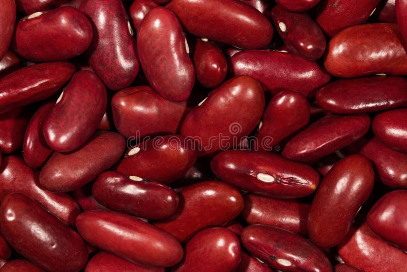 Close Up Red Kidney Bean Texture Background Stock Image - Image of bean ...