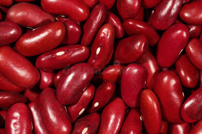 Close Up Red Kidney Bean Texture Background Stock Image - Image of food ...