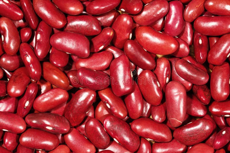 Close Up Red Kidney Bean Texture Background Stock Image - Image of ...