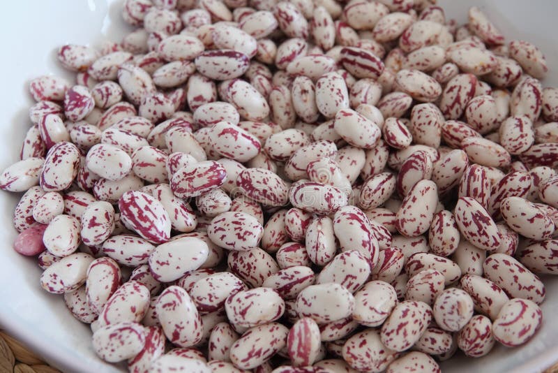 Close Up of Red Kidney Beans in a Big Bowl Stock Image - Image of dried ...