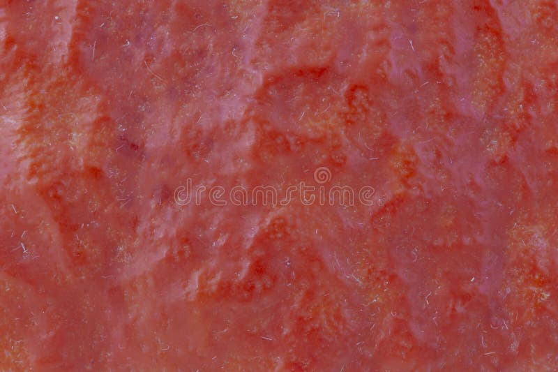 Close Up of Red Kuri Squash Skin Texture Stock Photo - Image of ...
