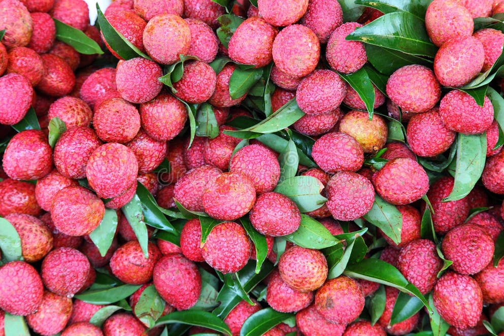The Close Up of Red Lichi Fruit. Stock Photo - Image of exotic, leaf ...